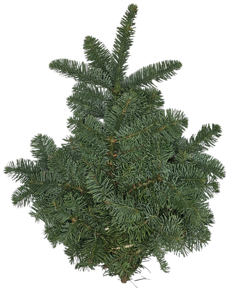 Kerstgroen Nordmann handbos - Koopkerstverlichting.nl